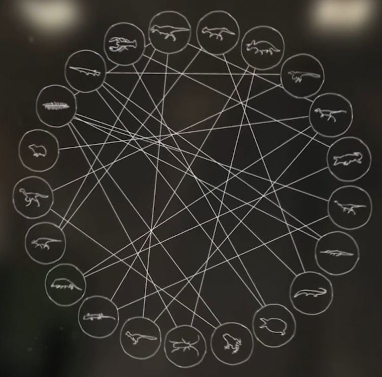 Species Interactions – An Interactive Introduction to Organismal and ... Species Interactions – An Interactive Introduction to Organismal and ...